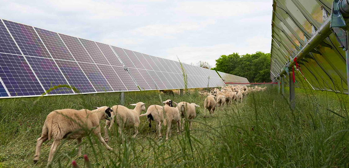 NT Solar Finances Largest Solar Investment in Company History